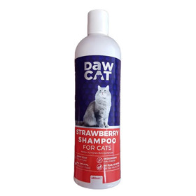 ᐈ Şampun Dawcat Strawberry 400 ml - qiymeti və satışı | ️ BIRMARKET