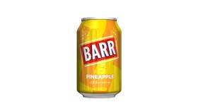 ᐈ Qazlı içki Barr Pineapple 330 ml - qiymeti və satışı | ️ BIRMARKET