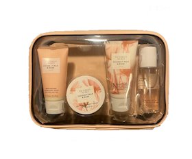 Подарочный набор Victoria's Secret The Balance Starter Kit Coconut Milk ...