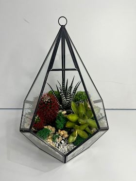 ᐈ Terrarium, şüşə, şəffaf, 18x18x28 sm - qiymeti və satışı | ️ BIRMARKET