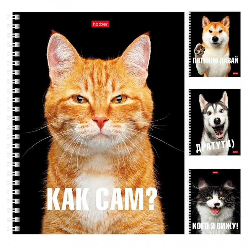 Тетрадь на спирали Hatber Привет 48T5BMB1QR, A5, 48 листов, товар в ассортименте - купить в Баку ...