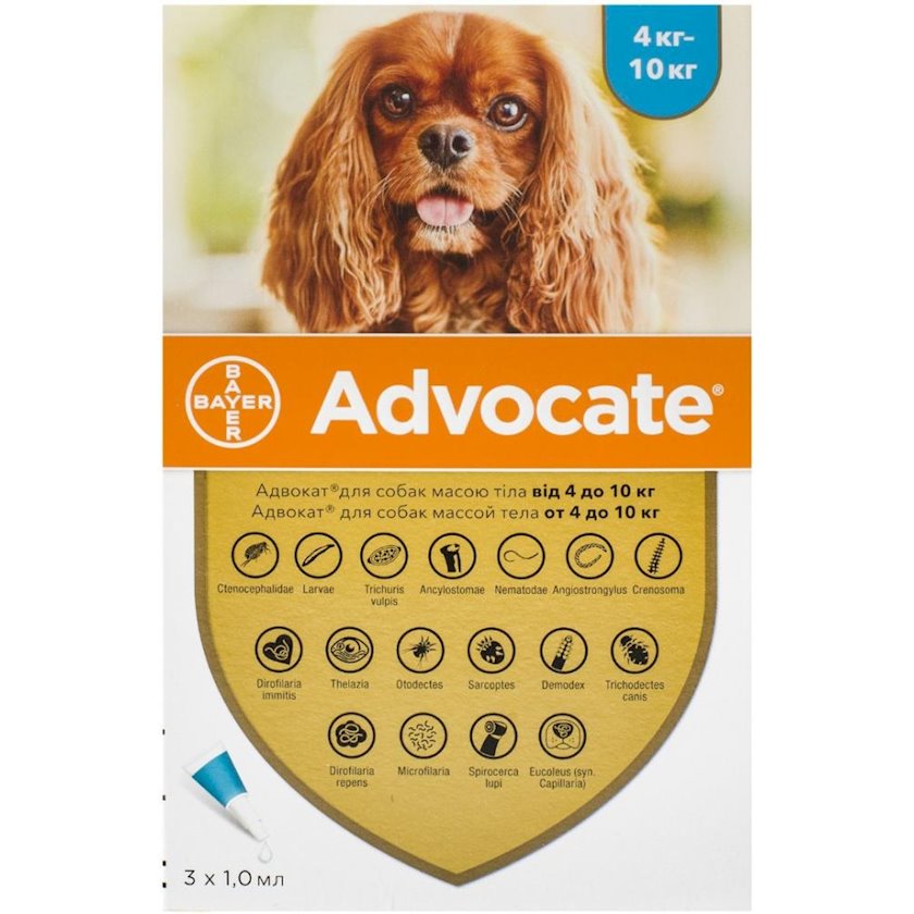 Damcı Bayer Advocate 4-10 kq olan itlər üçün (1 pipet) - Qiymeti ...