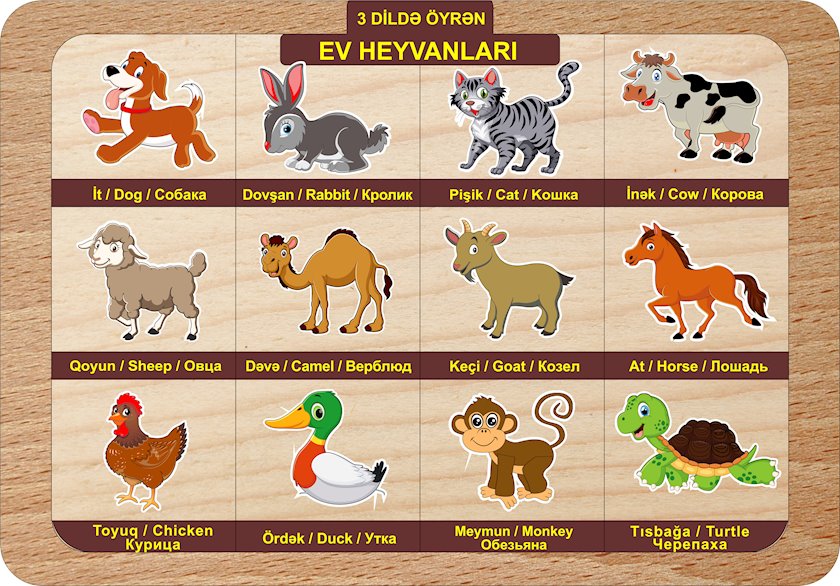 ᐈ Taxta inkişaf etdirici oyun Ecojoy DV 012 Ev heyvanları, üç dildə ...