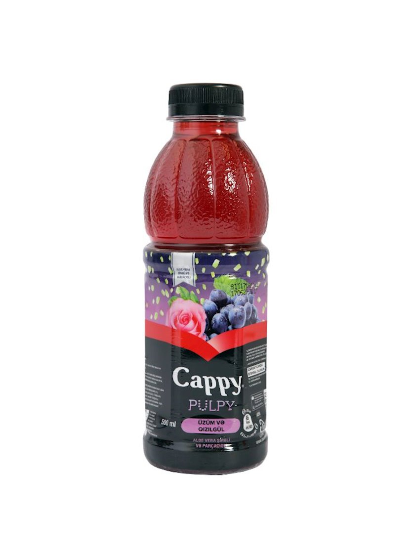 ᐈ Şirə Cappy, 0.5 l - qiymeti və satışı | ️ BIRMARKET