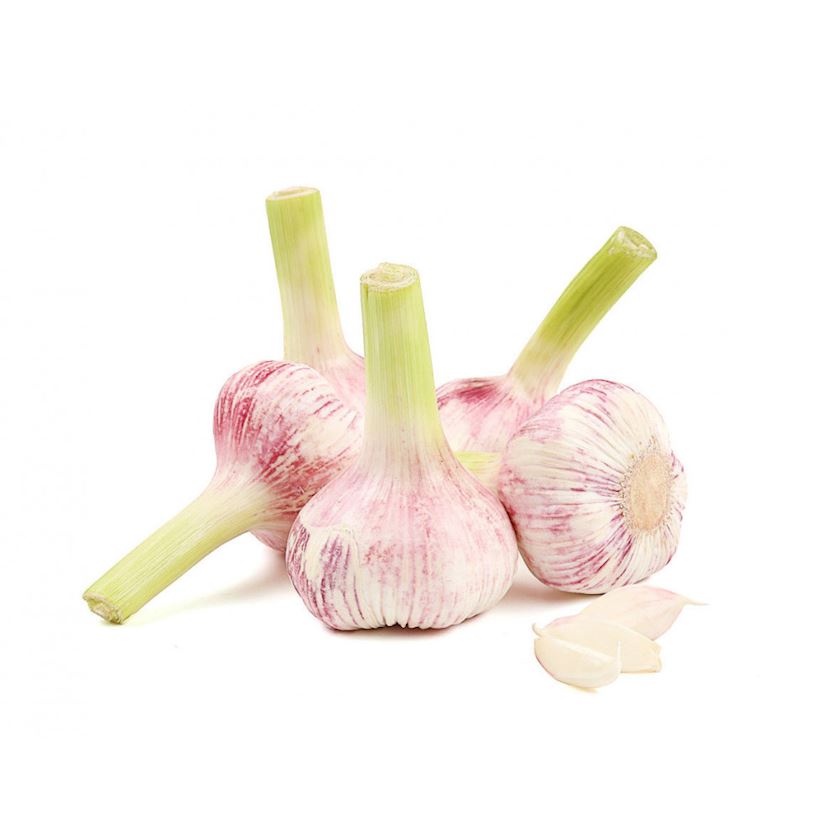 Sarımsaq təzə 1 ədəd By Dükan - Qiymeti, Bakıda almaq. Satışı, icmal ...