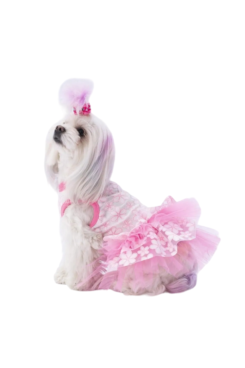 Платье Pawstar Flora для собак и кошек, XL, розовое - купить в Баку ...