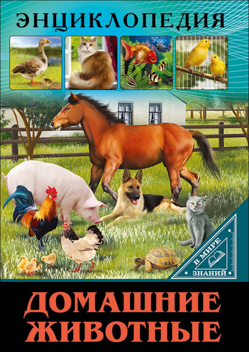Книга В мире знаний.Домашние животные-Балуева О. - купить в Баку. Цена ...