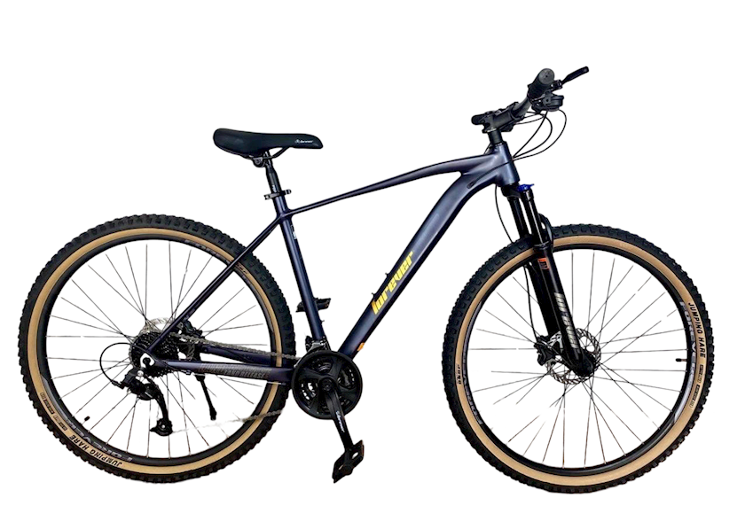 Velosiped Model LF29 Silver - qiymeti və satışı | Kredit | ️ BIRMARKET